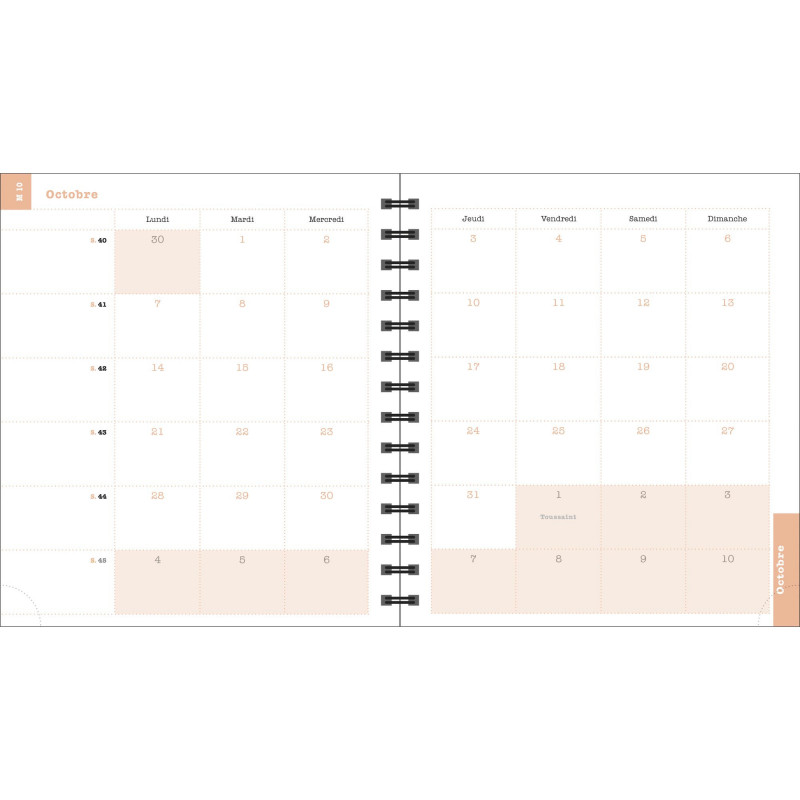 Agenda EXACOMPTA Lady 18S spirale Sophie Adde Violettes - 15 x 17 cm ...